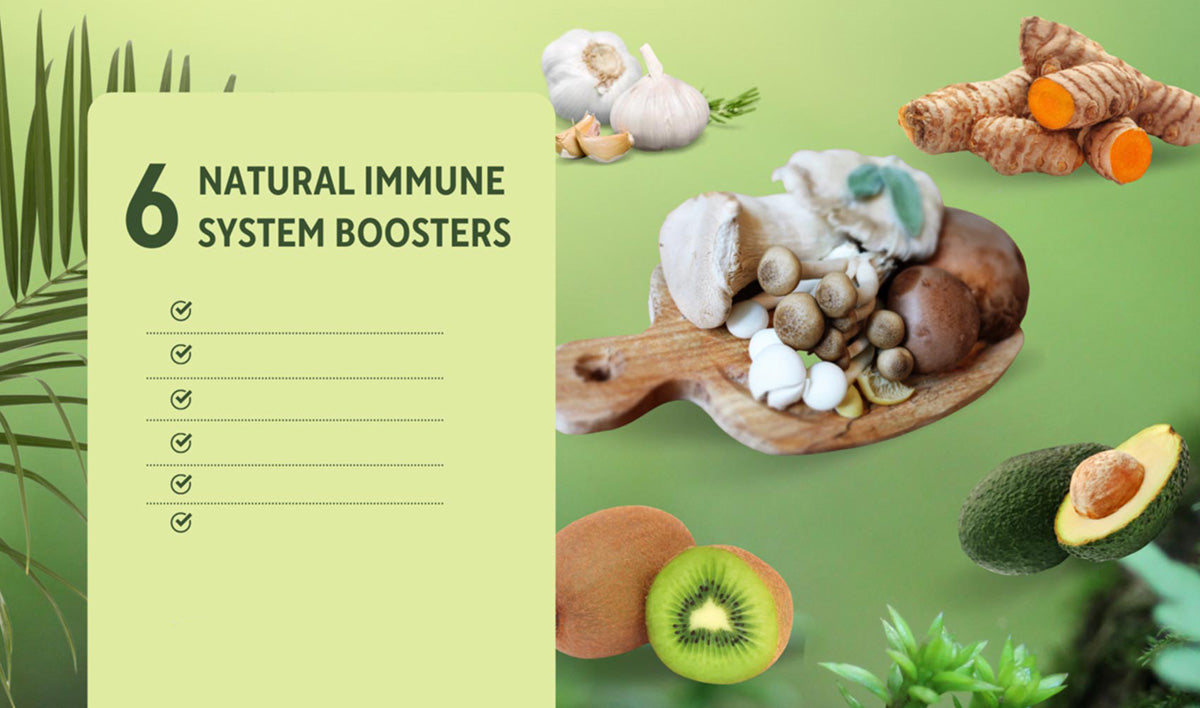 Blast Off with These 6 Natural Immune System Boosters to Stay Healthy ...